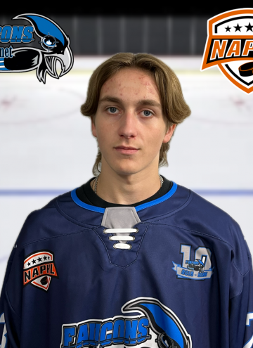 Photos - Le Sommet International Hockey Academy