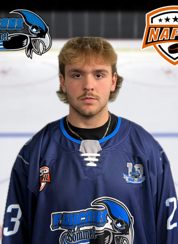 Photos - Le Sommet International Hockey Academy